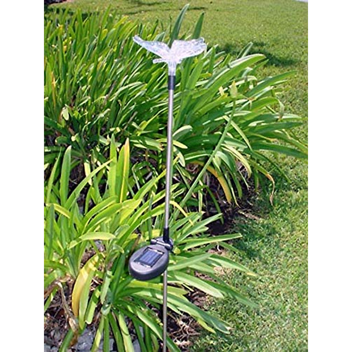 Ntertainment House Set of 1 Solar Garden Stake Lights with Color Changing LED or Regular White LED Landscape Path Lights (1 Piece) (Butterfly)