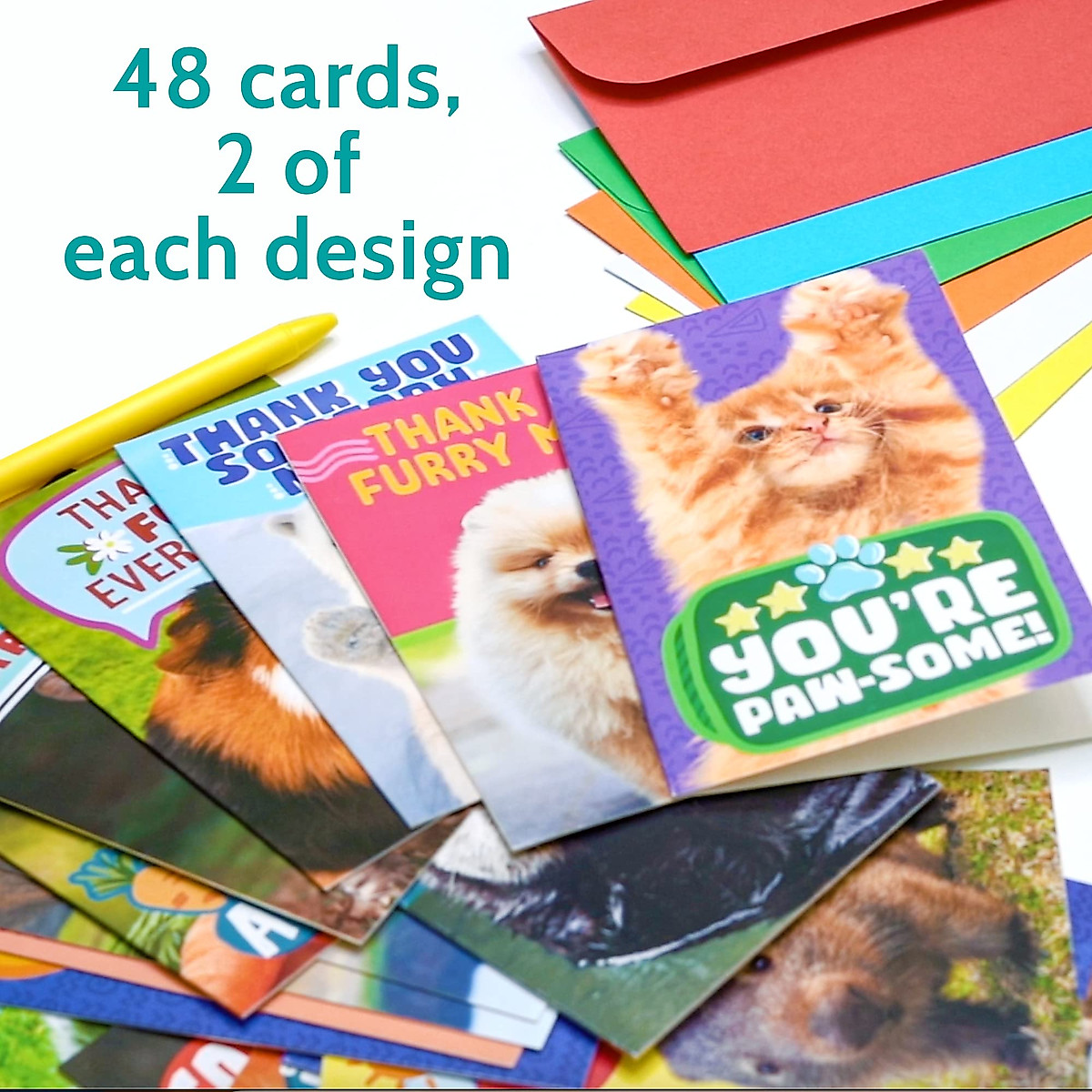 T MARIE 48 Funny Thank You Cards with Colorful Envelopes and Gold Stickers - Bulk 4x6” Boxed Set for Employee Appreciation Cards, Kids, Friends, Staff and Customers - Cute Animal Designs