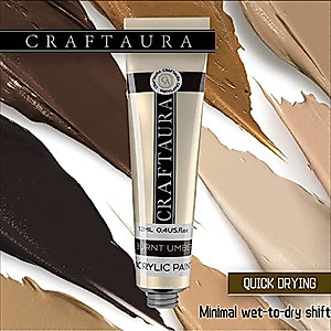 Acrylic Paint Set of 24 Expert Colors 12ml Tubes（0.4fl oz) and 3 Brushes.Non Toxic Pigment Paints for Artist,Hobby Painters & Kids.Ideal for Canvas Painting.