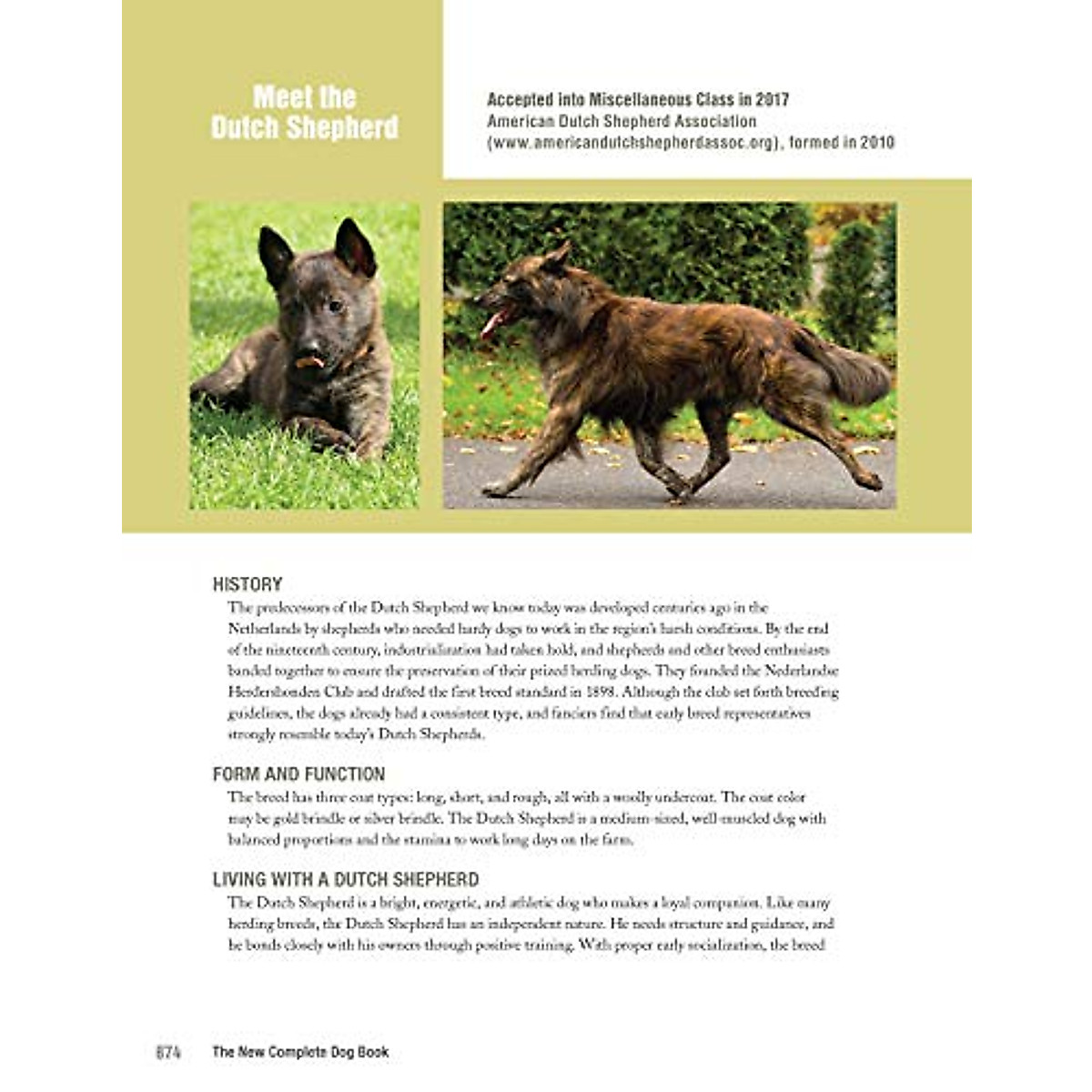 The New Complete Dog Book, 22nd Edition: Official Breed Standards and Profiles for Over 200 Breeds (CompanionHouse Books) American Kennel Club's Bible of Dogs: 920 Pages, 7 Variety Groups, 800 Photos