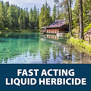 Airmax Ultra Pondweed Defense Aquatic Weed & Plant Killer, Easy Spray Application to Clean & Clear Large Pond & Lake Water, Liquid Treatment Control Concentrate, Fish Safe, 1 Quart