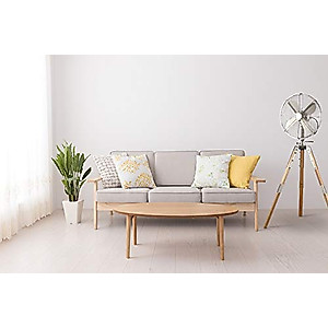 Star Fans Tripod, 16", Satin Nickel