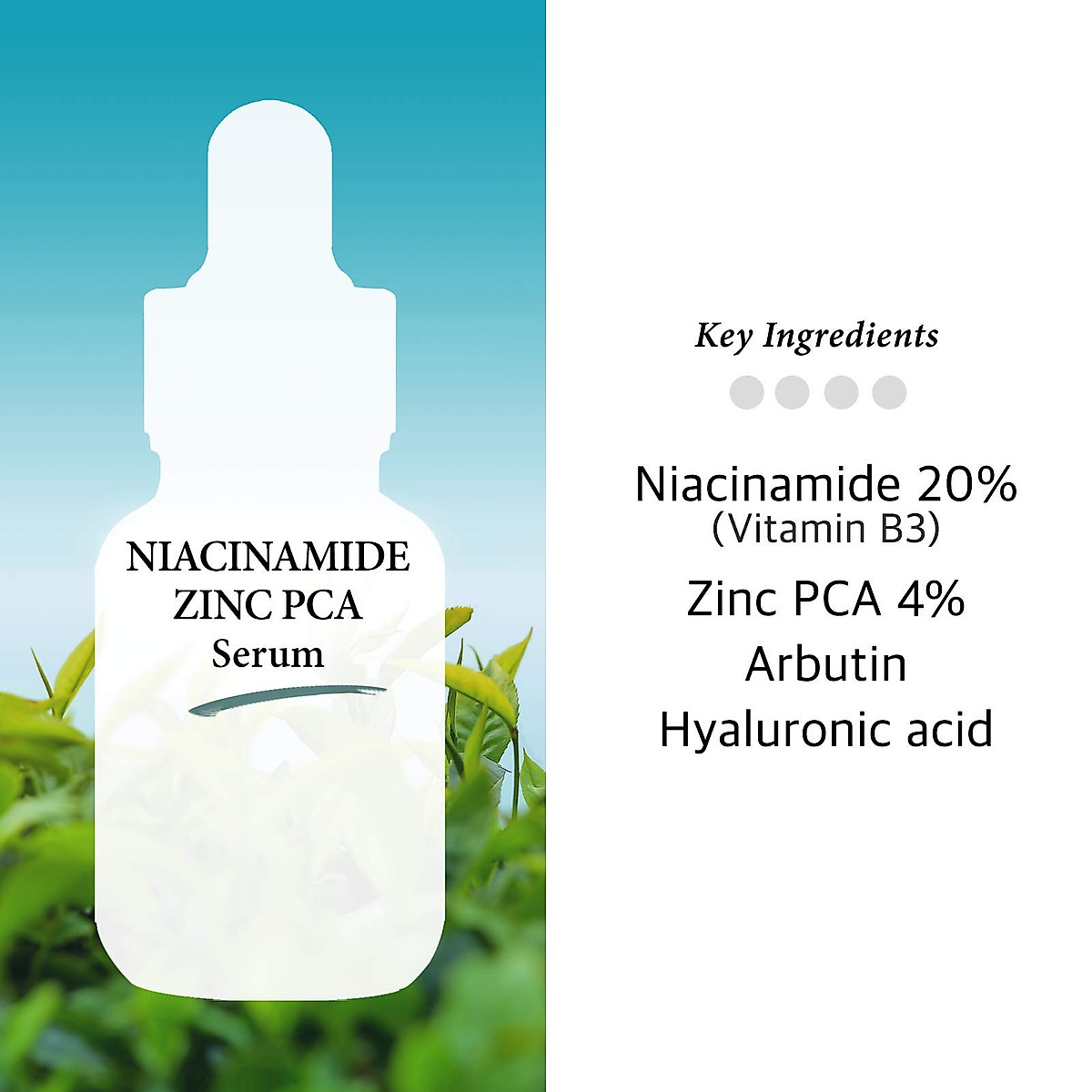 Niacinamide 20% + Zinc PCA 4% Serum for Face, Pore Reducer, Uneven Skin Tone Treatment, Diminishes Acne Prone, Skin Balancing Pore Reducing, Restores Elasticity, 1 Fl Oz