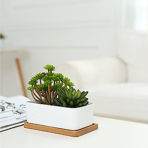 MyGift White Ceramic Plant Pots with Drainage, Rectangular Succulent Planter with Removable Bamboo Saucers, Set of 2