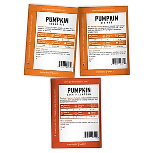 Pumpkin Seeds to Plant - 5 Variety Baby Boo, Giant Big Max, Jack Be Little, Jack O Lantern, Sugar Pie, Great for Pumpkin Seed for Summer, Fall, Pumpkin Seeds for Planting by Gardeners Basics