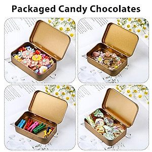 Bewudy 3 Pcs Metal Hinged Tin Box, Container Mini Portable, Small Storage Container Kit with Lid for Home Storage Outdoor Active Storage Containers Home Organizer Small Tins(Gold)