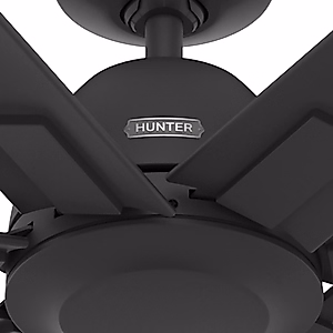 Hunter Fan Company 51592 Downtown Ceiling Fan, Matte Black, AAA