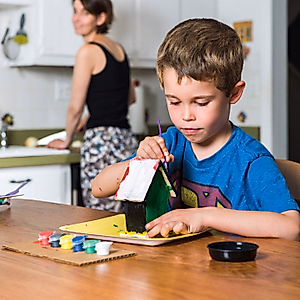 Surprise Ride Paint a Birdhouse Activity Kit STEM Learning