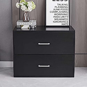 GEDELITE Wooden Lateral File Cabinet with 2 Drawer, Sliver Handle Office Storage Filing Cabinet for Legal/Letter/A4 File,16.54" D x 30.31" W x 24" H,Black