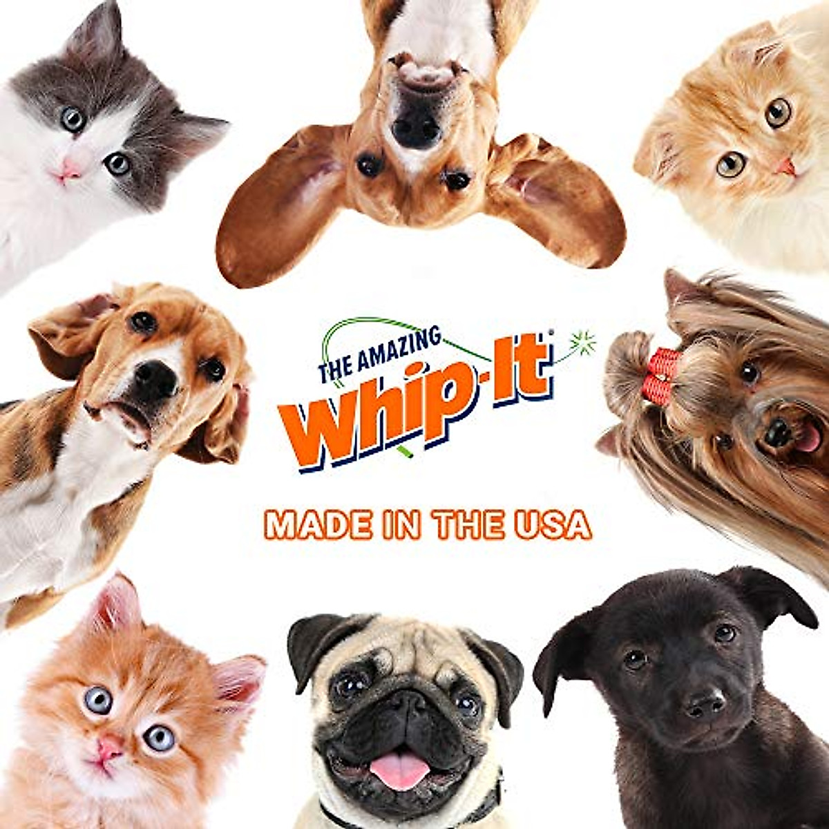 Whip-It Odor Bully Instant Odor Neutralizer Spray - Stain Remover and Odor Eliminator for Home and Car in One - Gallon and 32oz Spray