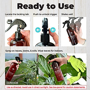 Big Leaf Energy : RTU Wellness Spray for Indoor Plants : Organic Neem Oil + Essential Oils (16OZ, Plastic Bottle)