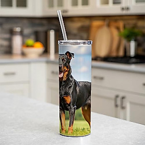 Beauceron Dog Photo Skinny Tumbler 20oz with Straw Insulated Water Bottle Gift