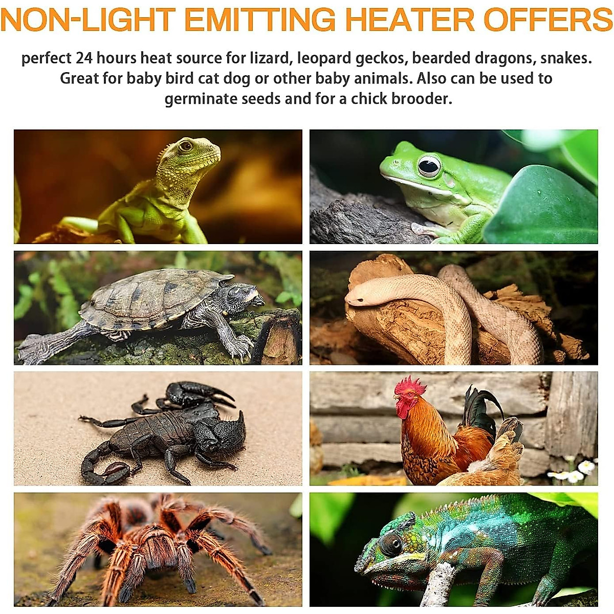 Simple Deluxe Ceramic Heat Emitter 150W Reptile Heat Lamp Bulb No Light Emitting Brooder Coop Heater for Amphibian Pet Snake Turtle & Incubating Chicken, No Harm, Color White, 1 Pack