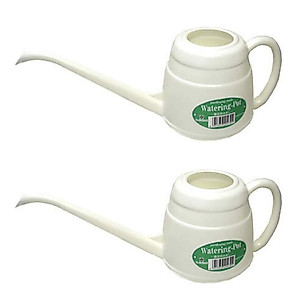 JapanBargain 1942, Japanese Long Spout Water Can for Bonsai Succulents Cactus Rosettes Indoor Outdoor Plants Control Flow Made in Japan, 850 ml, 2 Pack