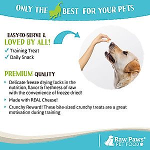 Raw Paws Freeze Dried Cheddar Cheese Treats for Dogs, 3-oz - Crunchy Dog Cheese Puffs Made in USA, Natural Dried Cheese for Dogs - 100% Real Wisconsin Cheddar Cheese Bites for Dogs - Dog Cheese Treats
