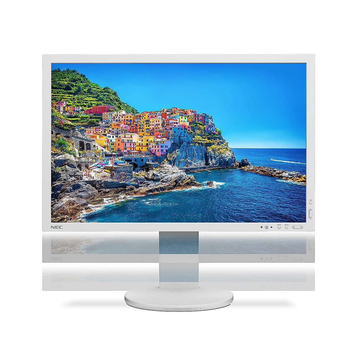 24IN WS LCD 1920X1200 PA243W DP
