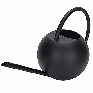 Watering Can for Indoor Plants, 1000ml/33oz Household Stainless Steel Long Spout Watering Pot Garden Watering Can for Bonsai Garden Flowers Plants Tool