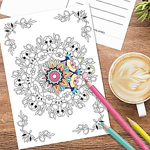 8 count | Mandala Coloring Postcards | Art Therapy | 8 unique Designs | Flower Mandala Art | Adult Coloring | Thank you cards | Birthday cards | Creativity and Relaxation
