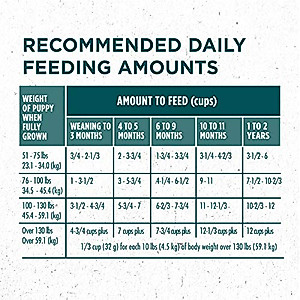 Purina ONE Plus Large Breed Puppy Food Dry Formula - 31.1 lb. Bag