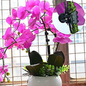 baotongle 100 pcs Plant Clips, Orchid Clips Plant Orchid Support Clips Flower and Vine Clips for Supporting Stems Vines Grow Upright Dark Green