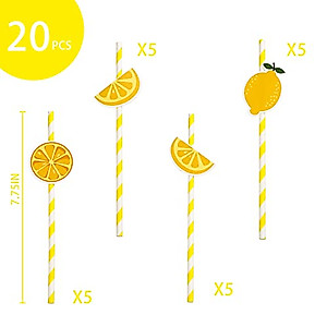 Lemon Biodegradable Paper Straws，Lemon Birthday Party Striped Decorative Straws - Set of 20.