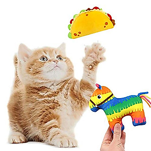 6 Pack Avocato Taco Chili Nacho Catnip Toys Dental Health Cat Toys Interactive Cat Toys for Indoor Cats Kitten Toy Cat Chew Toy Catnip Toys for Cats Gift for Cat Lovers Indoor Boredom Relief Supplies