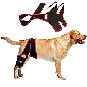 Dog Knee Brace with Side Stabilizers for Dog ACL, Adjustable Canine Shoulder Leg Hip Wraps for Arthritis & Torn CCL, Wound Care & Loss of Stability from Arthritis (S, Red)