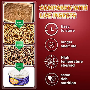 NO 24 Oz Premium Canned Steamed Juicy Mealworms for Reptiles, Amphibians, Birds -an Alternative to Live Meal Worms for Bearded Dragon,Wild Birds etc
