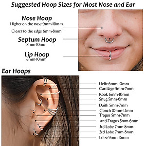 LOYALLOOK 5Pcs 316L Surgical Steel Nose Rings Hoop for Women Men Seamless Hinged Segment Ring Hoop Septum Clicker Lip Nose Rings Double Triple Open Stack Sleeper Earring