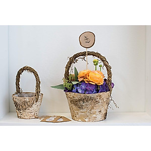 Accent Decor (ACD-) Natural Birch Flower Basket with Plastic Liner
