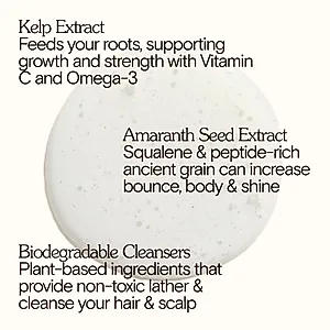 Bathing Culture - Organic Kelp Forest Shampoo | Natural, Biodegradable, Sustainable, Vegan Personal Care (8 fl oz | 237 ml)