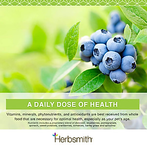 Herbsmith Nutrients Superfood Dog Multivitamin Featuring Vitamins & Minerals from Whole Foods Boost Kibble or DIY Raw with Antioxidants for Puppies to Seniors - 6.5 oz