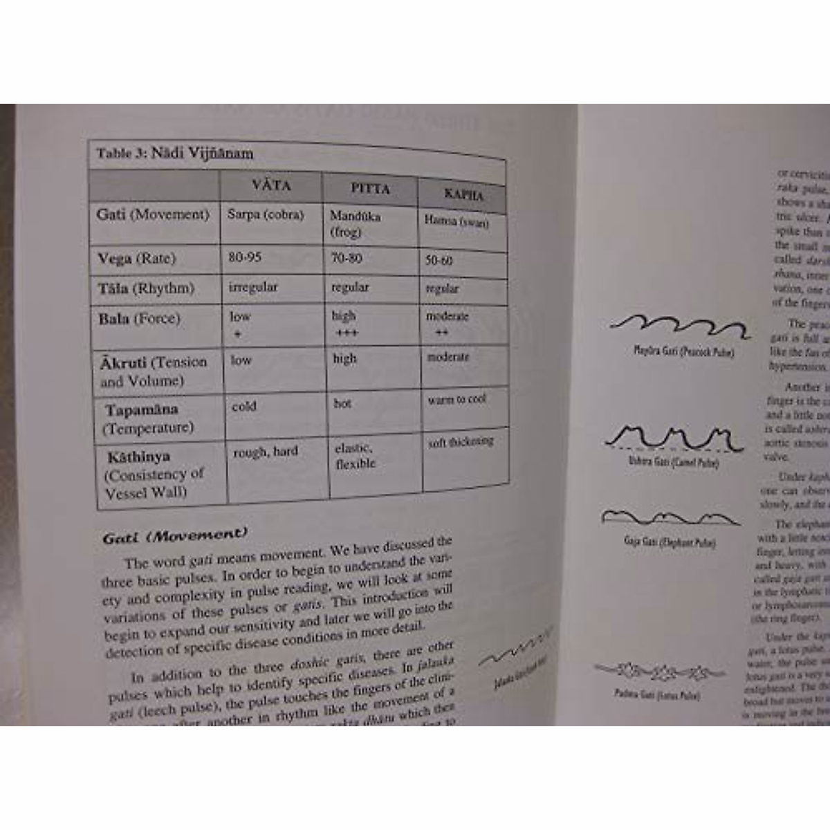 Secrets of the Pulse