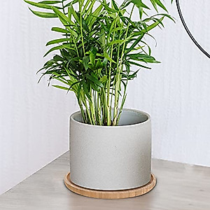 Ebingoo 2 pcs 10 inch Thick Solid Bamboo Large Plant Saucer for Outdoors 8-10 inch Pots Round Plant Trays for Indoors no Holes Durable Flower Succulent Cactus Planter Plant Plate