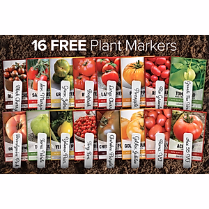 Gardeners Basics, Tomato Seeds for Planting 16 Variety Pack Heirloom Tomato Seeds, Tiny Tim, Cherry Tomato Seeds, Beefsteak Seeds, Roma Tomato Seeds, Determinate and Indeterminate and More, Non GMO