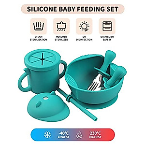 12Pcs Silicone Baby Feeding Set, Baby Led Weaning Supplies-BPA free Toddler Self Feeding sets,Baby Bib, Baby Suction plate,Baby Spoon Fork for Baby 6+ Months (Blackish Green)