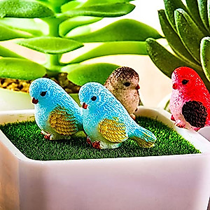 Miniature Bird Figurines Bird Decorative Figurines Dollhouse Simulation Bird Figures Toy Mini Bird Figures Cute Animal Model for Fairy Garden, Miniatures Moss Decoration, Micro Landscape (24 Pieces)