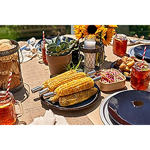 Cuisinart CGS-5020 BBQ Tool Aluminum Carrying Case, Deluxe Grill Set, 20-Piece