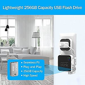 256GB Blink USB Flash Drive and Blink Sync Module 2 Mount, No-Drilling Easy Move Mount Bracket for Blink Outdoor Indoor Security System, with Short Cable (Blink Sync Module 2 is NOT Included)