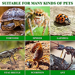 POPETPOP Reptile Breeding Box, Reptile Feeding Container Aquarium Breeding Tank Transparent Reptile Feeding Box Reptile Terrarium Habitat for Snake Turtle Lizards