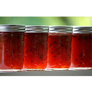 Kerr Regular Mason Jar Canning Lids, 96 lids, (8 dozen), (Lids Only; No Rings)