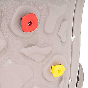 Lifetime 90966 Double Adventure Tower with Monkey Bars