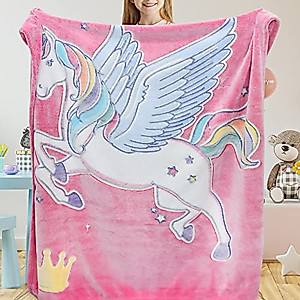 Pink Blanket for Girls Soft Cute Throw Blanket Warm Fleece Fluffy Fuzzy Blankets for Kids Girls Adults Christmas Birthday Gift