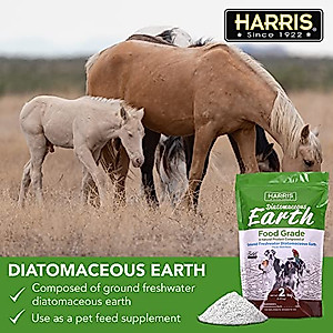 Harris Food Grade Diatomaceous Earth for Pets, for Cats, Dogs, Horses and Pets, 2lb