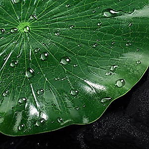 Jutom 24 Pieces 4 Sizes Artificial Floating Foam Lotus Leaves Water Lily Pads Ornaments Artificial Foliage Pond Decor for Patio Fish Pond Pool Aquarium Home Garden Wedding Party Decoration