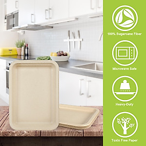 BangShou 14 Inch Disposable Food Trays, 10 Pack 100% Biodegradable, Heavy-Duty Food Crawfish Trays, Compostable Plates Extra Large Paper Plates For Crawfish, BBQ, Party, Serving Platter