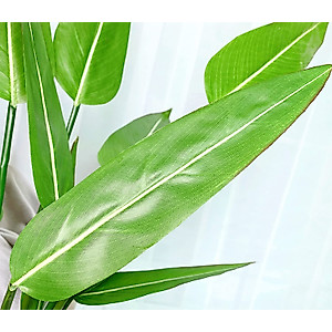 Artificial Tropical Palm Leaf Bush Greenery Plastic Faux Bird of Paradise Fake Eva Curcuma Plant Bundle with 7 Leaves for Home Garden Office Store Decoration (Green - Pack of 2 pcs)