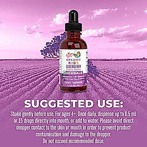 MaryRuth Organics Cocomelon Kids Elderberry Syrup, USDA Organic Elderberry, Sugar Free Kids Immune Support Supplement for Ages 4-13 Years, Clean Label Project Verified®, Vegan, Gluten Free, 1 Fl Oz