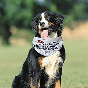 Engagement Gift, Dog Wedding Bandana, Wedding Engagement Bridal Shower Gift, Wedding Photo Prop, Pet Scarf, Dog Engagement Announcement, Pet Accessories