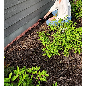 Woodlore – Kiln Dried Eastern Red Aromatic Cedar Chips Made in Wisconsin USA (9lbs)